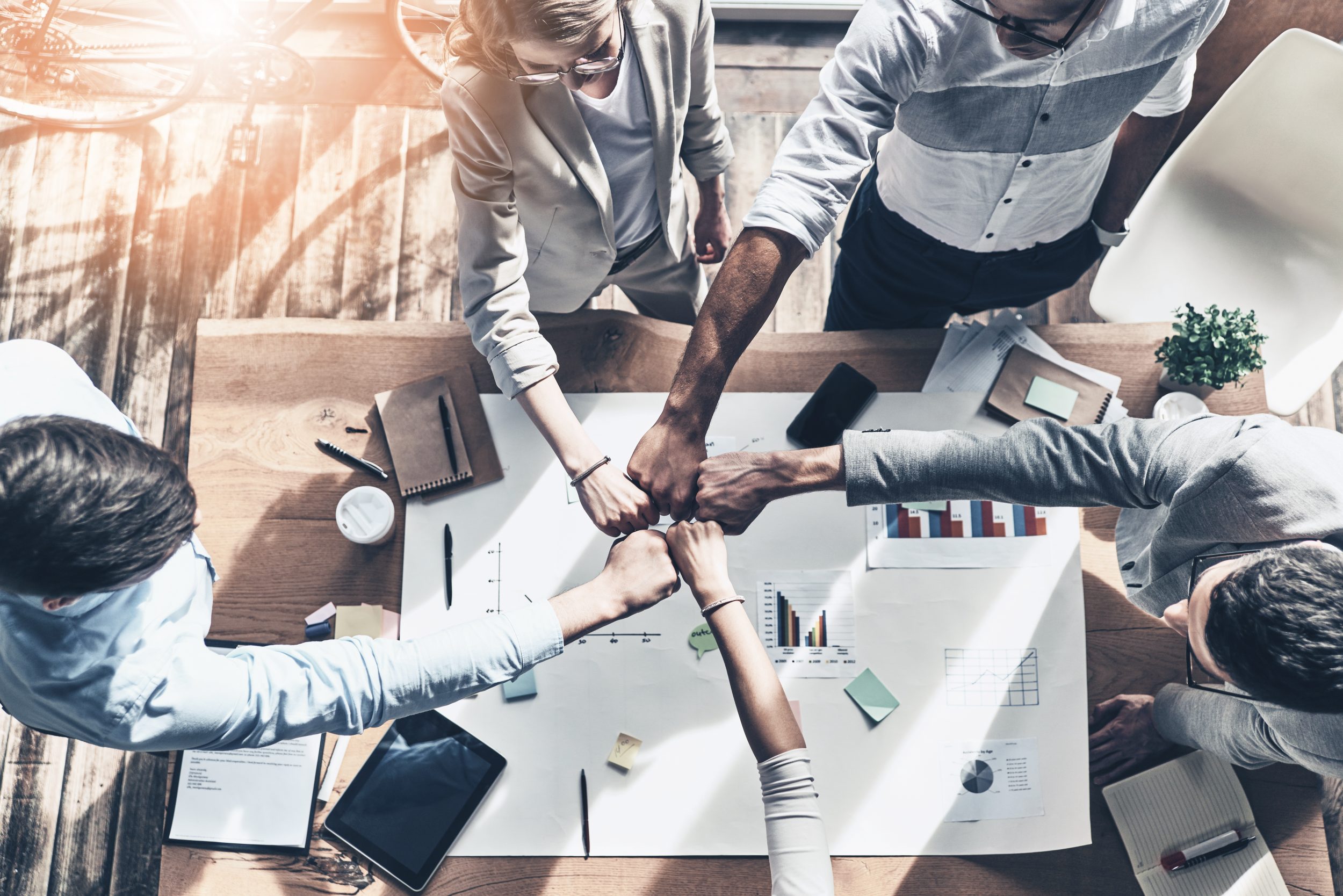 Digital Product Launch | audience communication